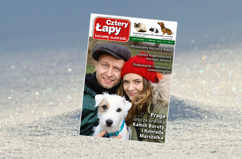 Ciapkowo – wyjątkowe miejsce na mapie Trójmiasta | Cztery Łapy, magazyn ...