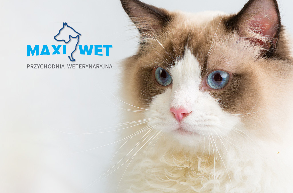 Maxi-Wet Przychodnia Weterynaryjna, Warszawa