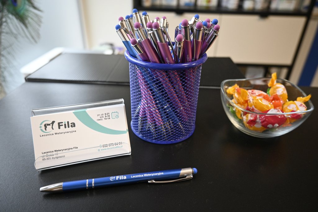 O nas | Fila Lecznica Weterynaryjna, Bydgoszcz